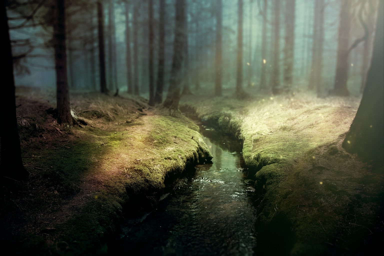 Faery Trees and Forests #Folklore – Ronel the Mythmaker