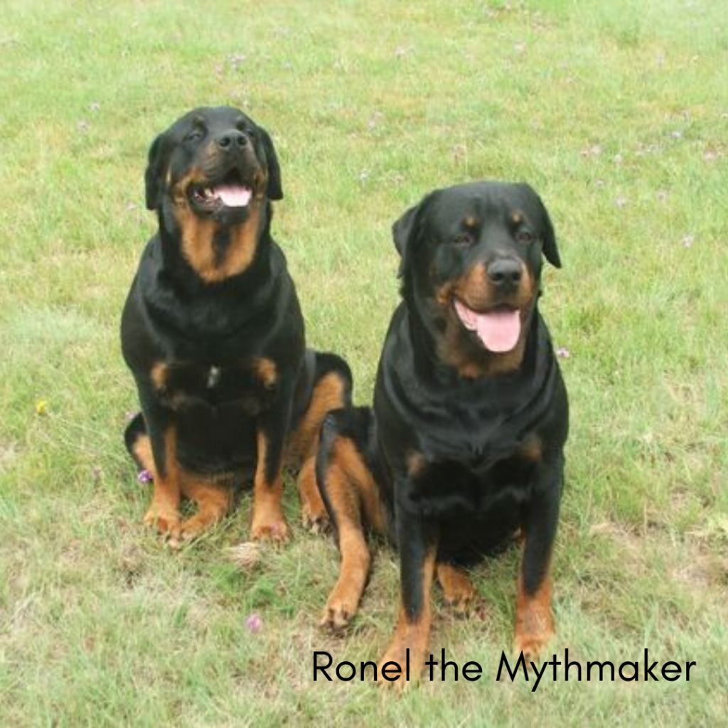 Rotties and Fever: Types of Fever and What It Means #Rottweiler - Ronel ...
