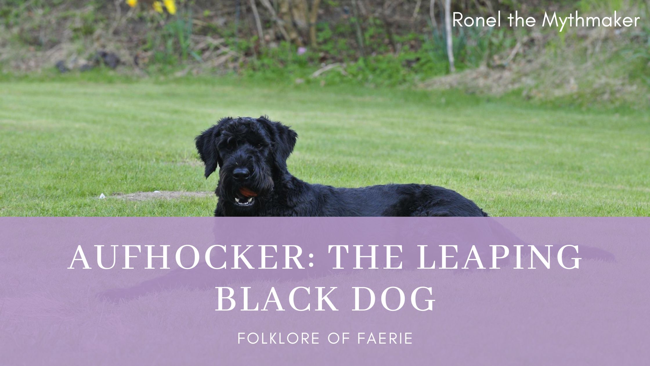 Black Dog Folklore