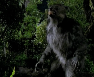 Cursed Werewolves #folklore #AtoZChallenge - Ronel the Mythmaker