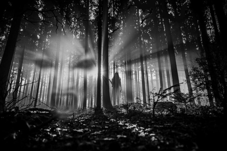 The Origin of the Fae - Ronel the Mythmaker